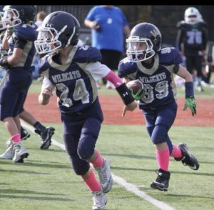Team Overview – West Seattle Wildcats